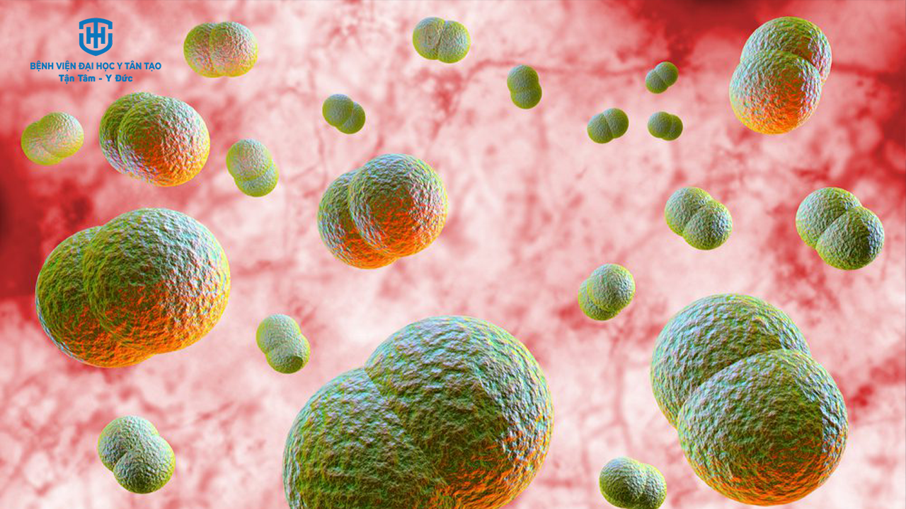 Viêm màng não mô cầu: Nguyên nhân, triệu chứng và phòng ngừa